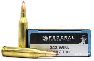 FEDERAL 243 WIN 100GR POWER SHOK SP - Accuracy Plus